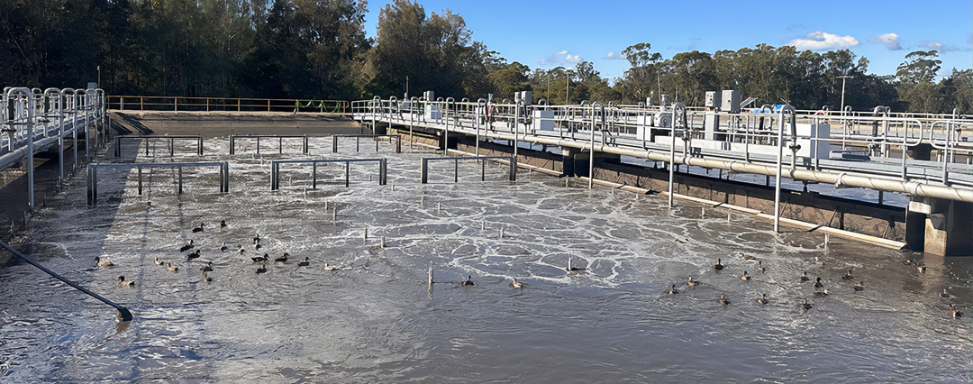 High Efficiency Membrane Diffusers for Hunter Water’s Toronto WWTW ...